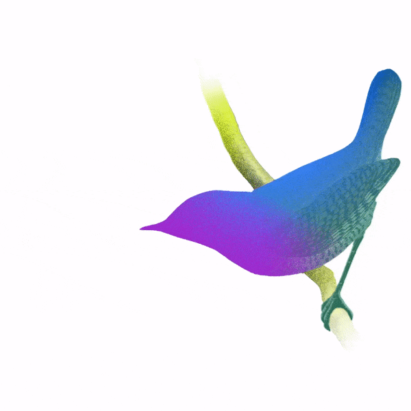 THE WREN, THE WREN – Grace Shum